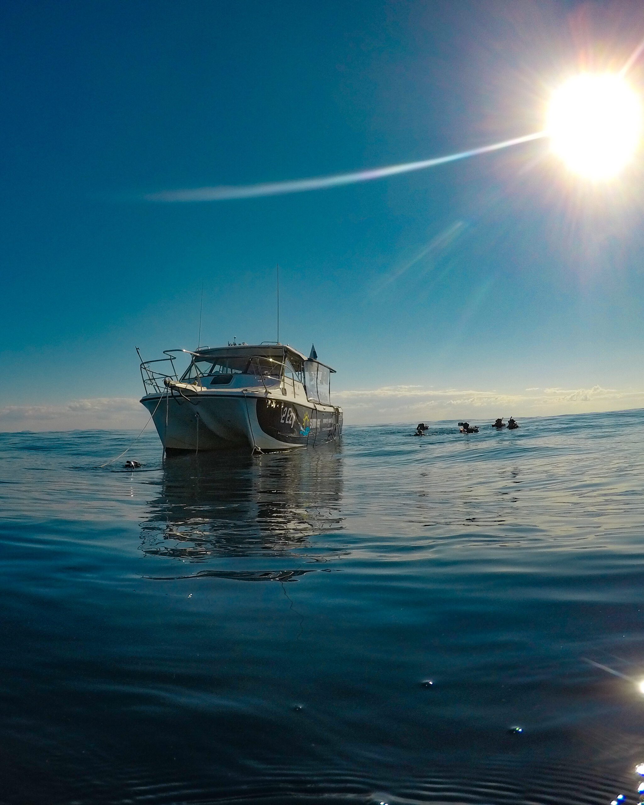 Dive Boats For Unforgettable Experience On The Sunshine Coast Sunreef